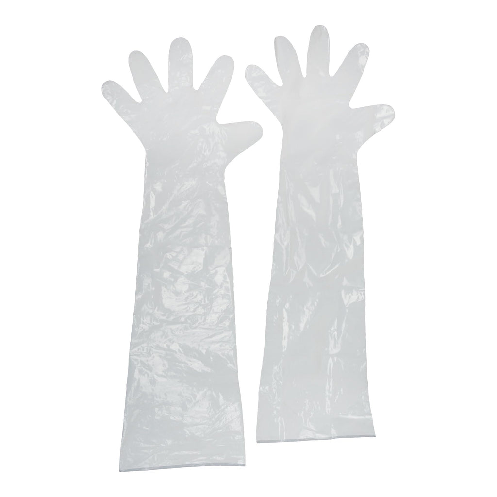 Allen Company Field Dressing Gloves - 2/Pack – Southlandarchery
