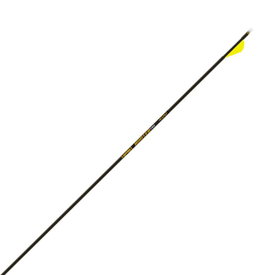 Gold Tip Hunter PRO 340 Arrows with 2-Inch Raptor Vanes - 12/Pack ...